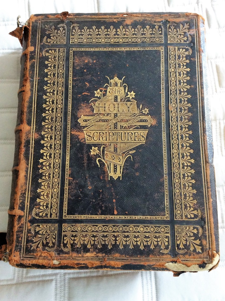 DNA discovers a family bible – History Out There