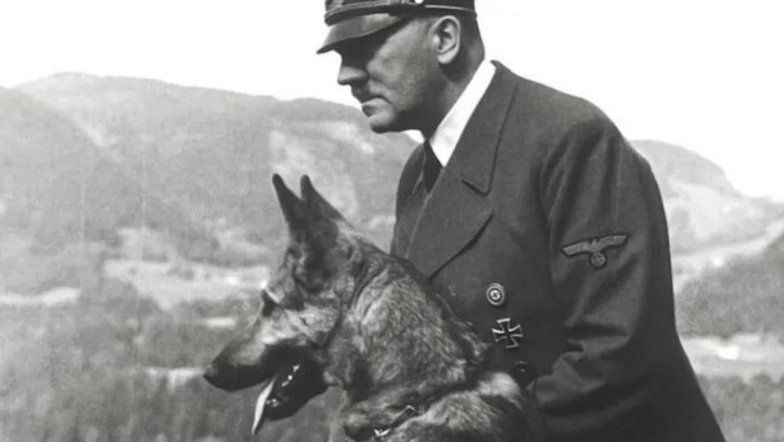 The great Australian Alsatian trial – History Out There