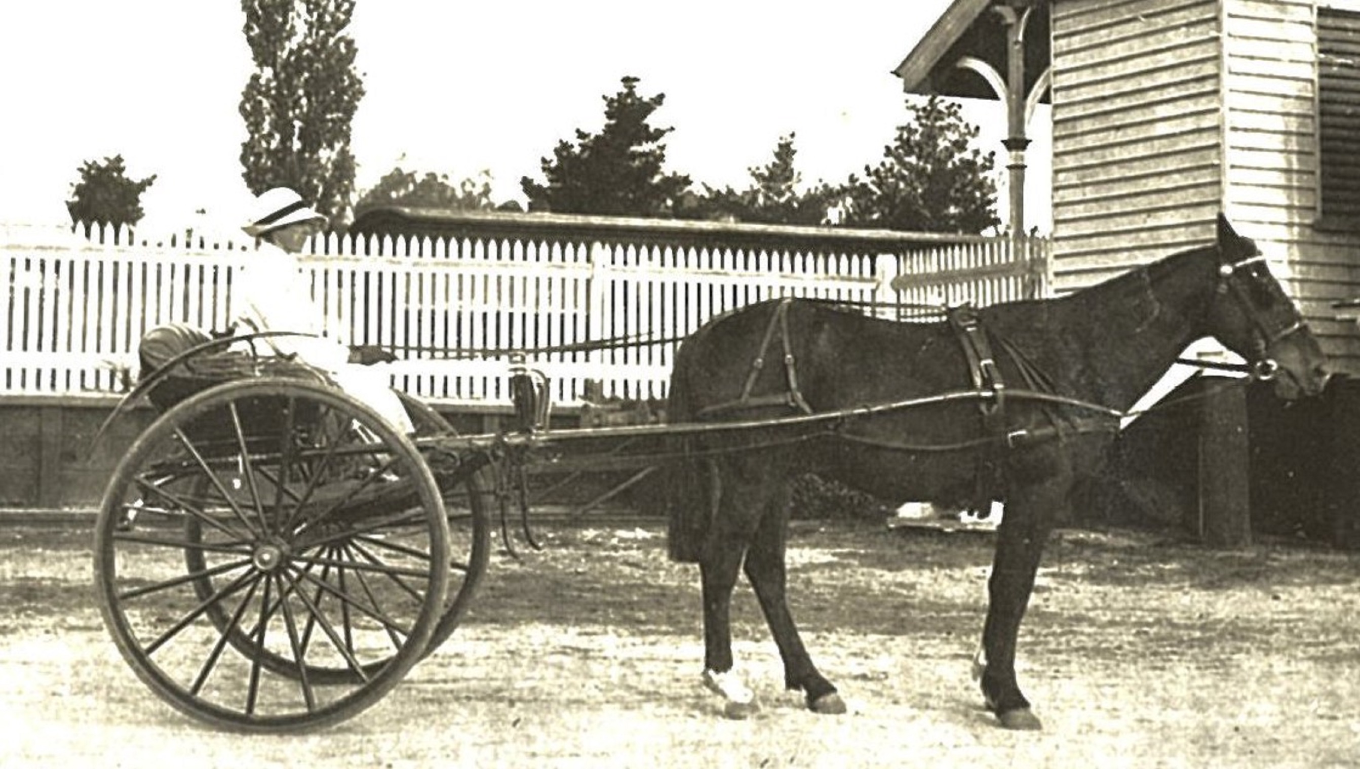 Applethorpe’s Tomato Patch Murder – History Out There